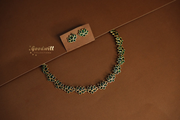 Goodwill Collections